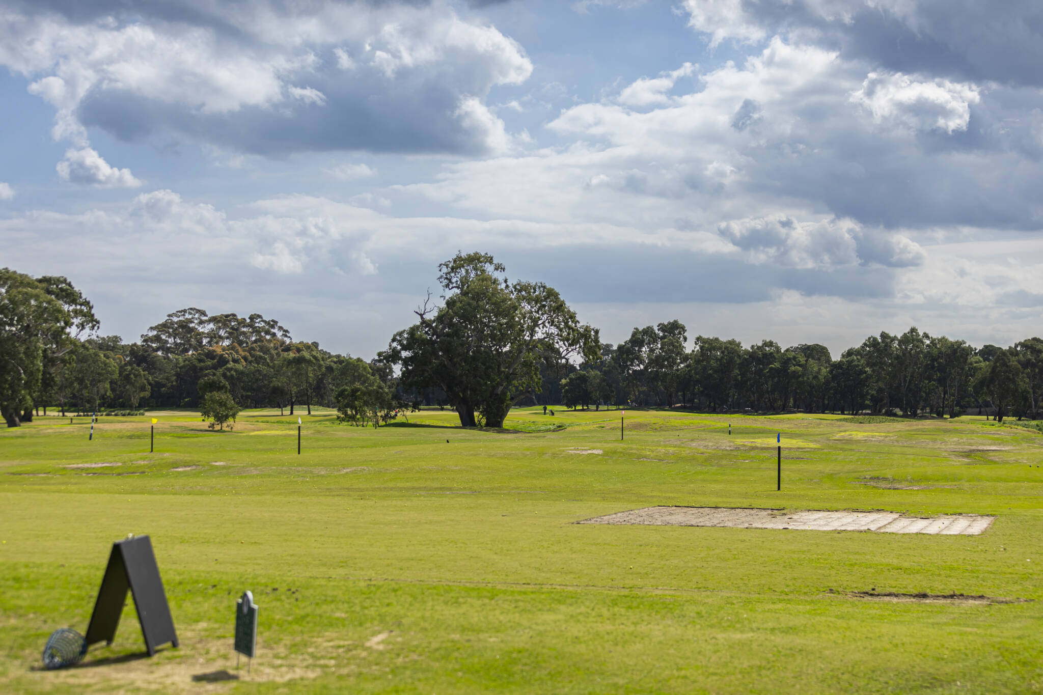 PGA Golf Development Program | PGA Academy